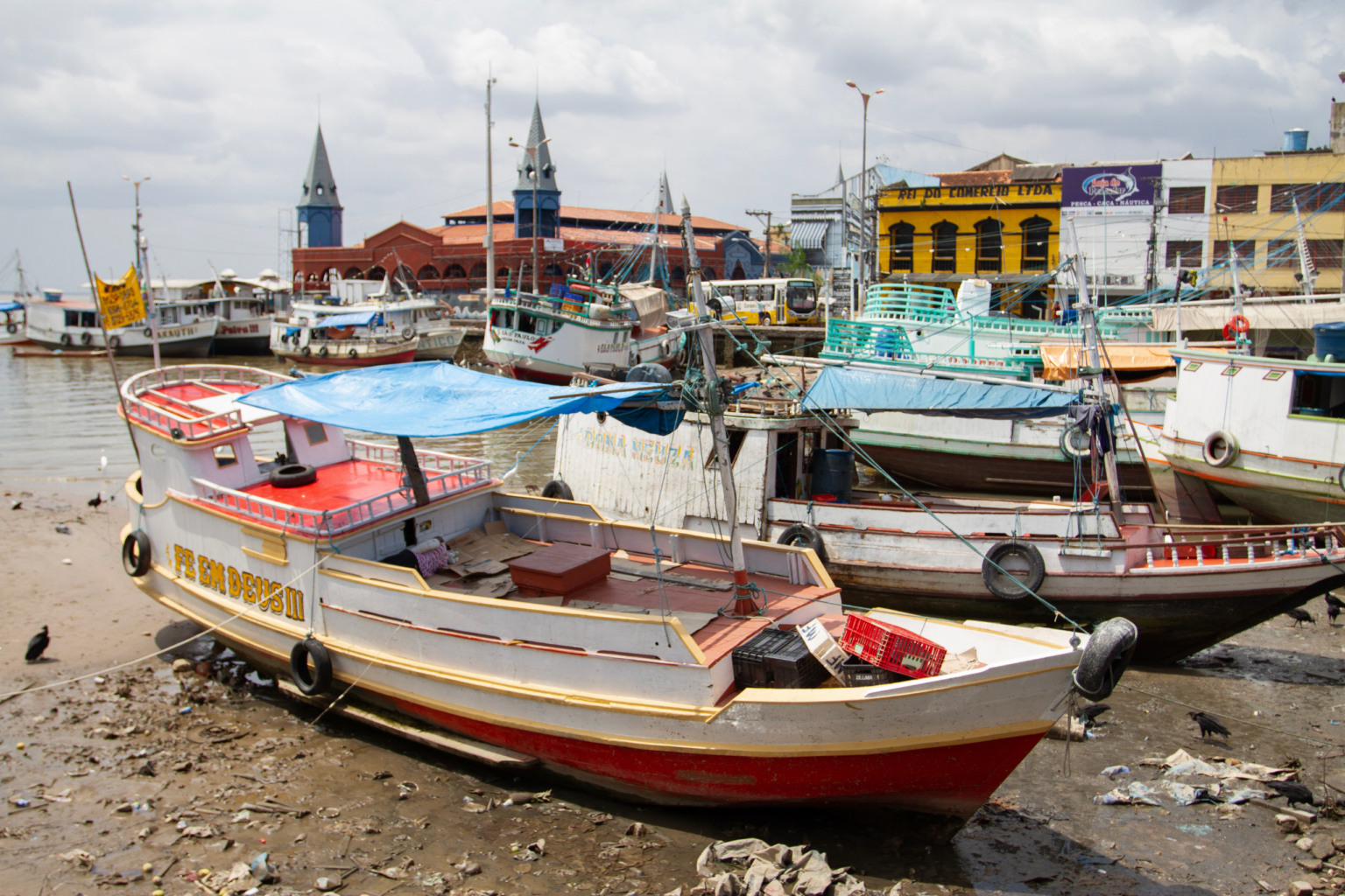 COP 30: Realidade Amazônica não se esconde sob ar-condicionado - Folha BV