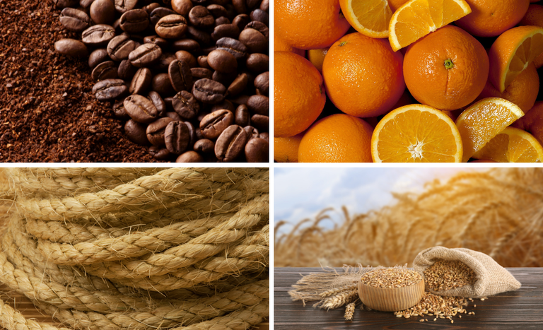 Mapa divulga preços mínimos de café, laranja e sisal com alta para ...